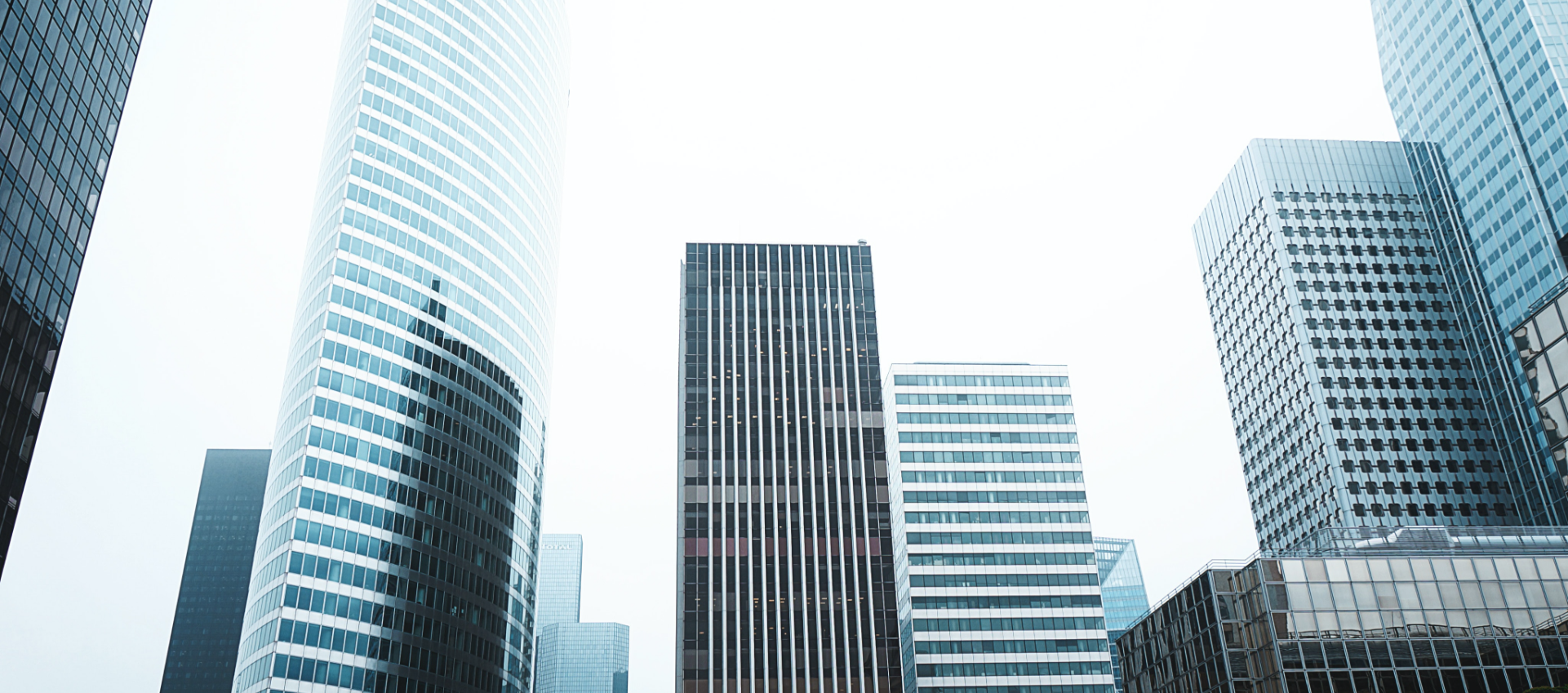 Asset & Portfolio Management Software - North Shore Systems